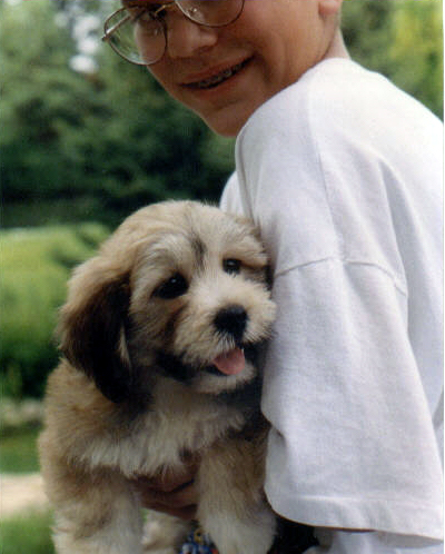 Daisy Dogs Picture Gallery - Page 4
